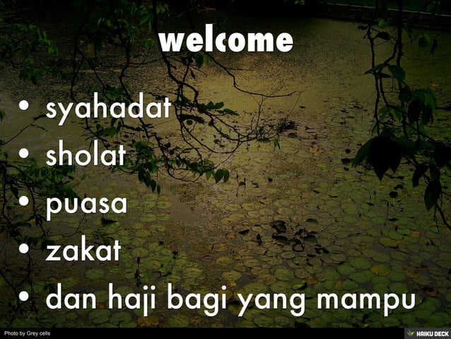 assalamualaikum | PDF