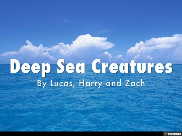 Deep Sea Creatures | PPT