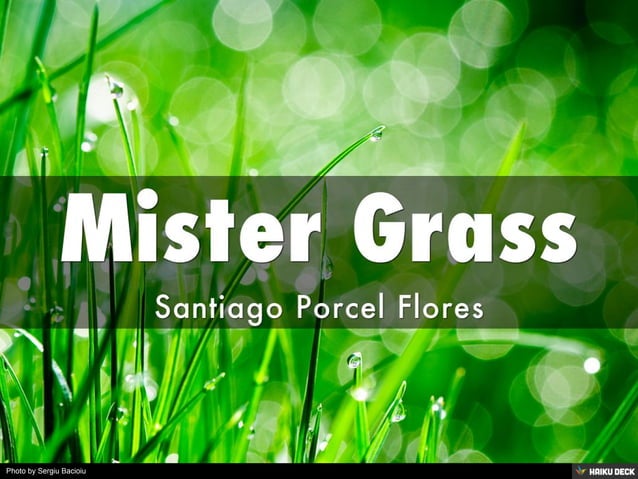 Mister Grass | PDF