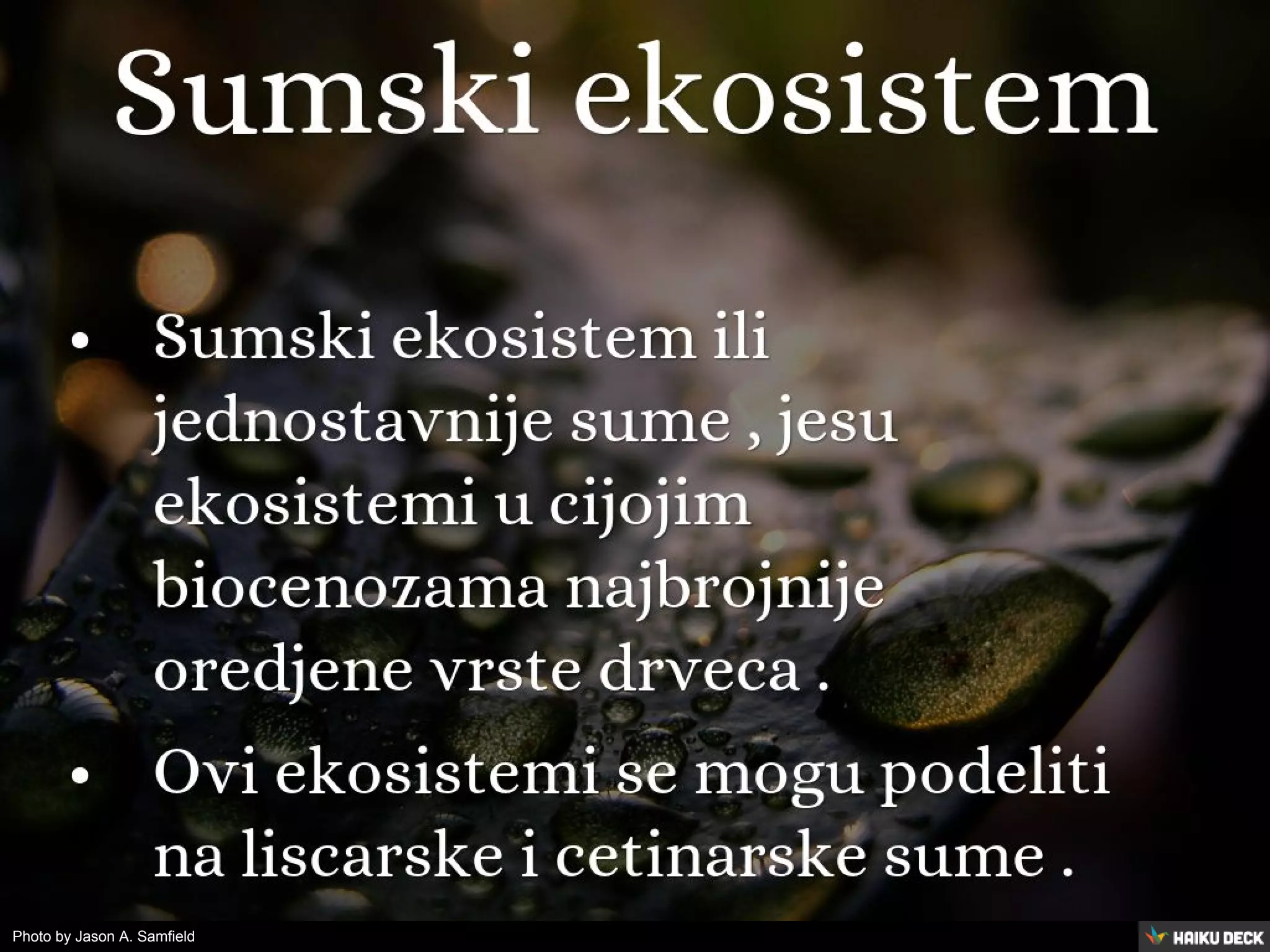Sumski ekosistemi | PPT