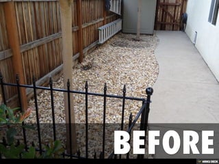 SYNLawn Before and After | PDF