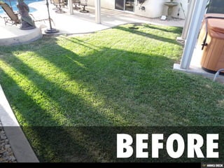 SYNLawn Before and After | PDF