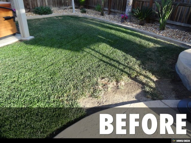 SYNLawn Before and After | PDF
