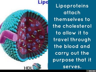 High Cholesterol | PPT