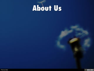 Trade Star Exports | PPT