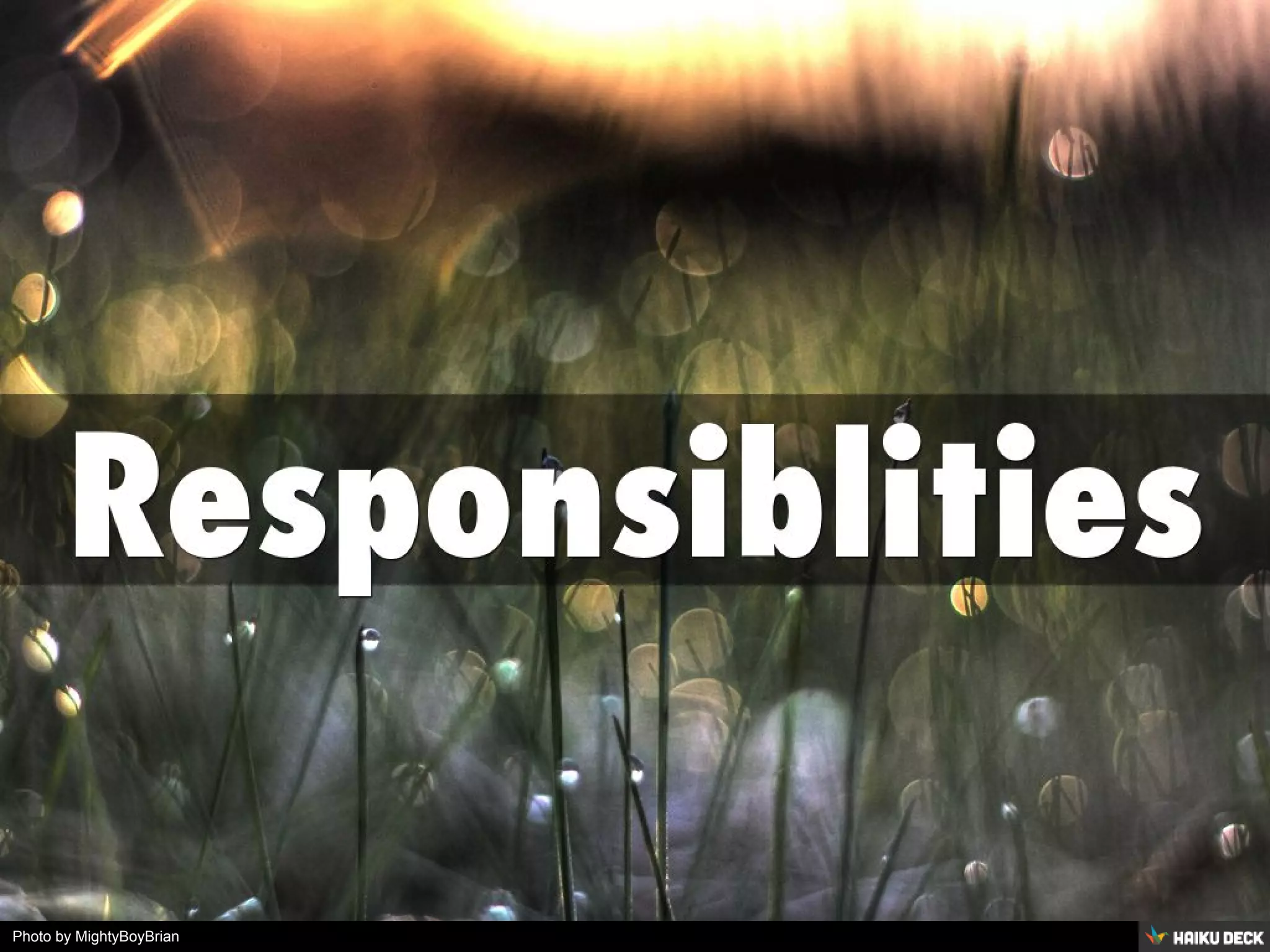 Teaching Complexities Toolkit | PDF