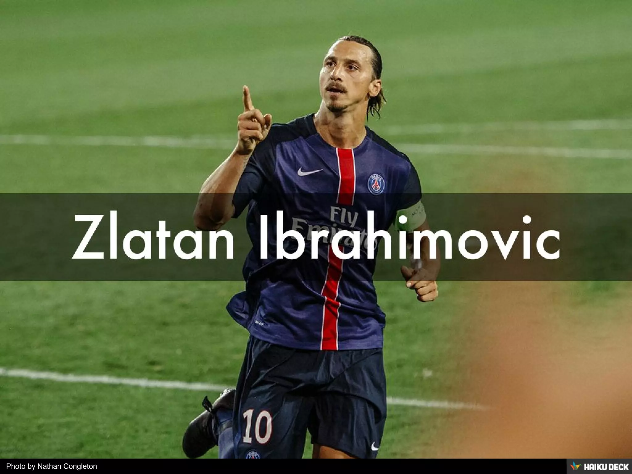 Zlatan Ibrahimovic | PDF