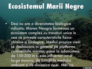 Ecosistemul Marii Negre | PPT