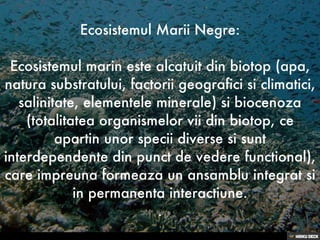 Ecosistemul Marii Negre | PPT