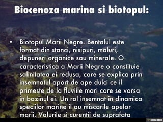 Ecosistemul Marii Negre | PPT