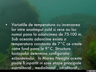 Ecosistemul Marii Negre | PPT