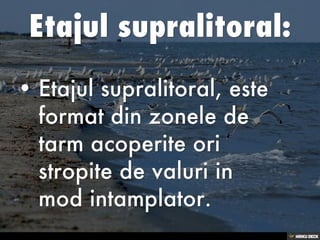Ecosistemul Marii Negre | PPT