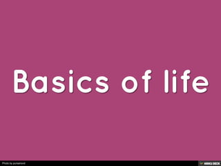 Basics of life | PDF