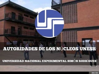 Autoridades de los Núcleos UNESR | PDF