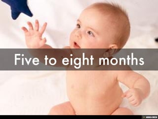 Infant Vision: Birth to 24 Months of Age | PDF