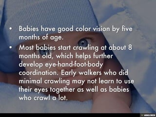 Infant Vision: Birth to 24 Months of Age | PDF