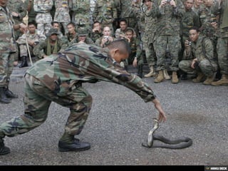 Photography Slideshow: USMC | PPT