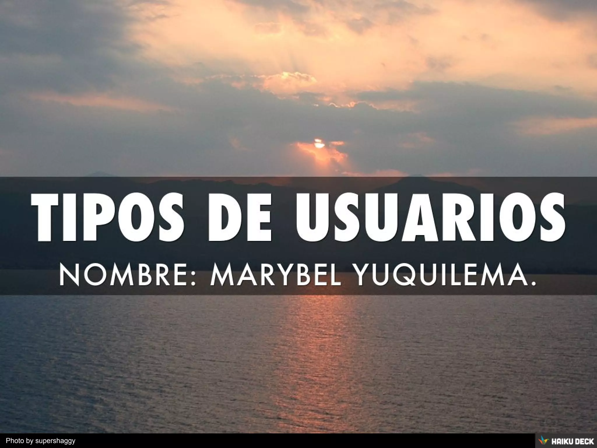 TIPOS DE USUARIOS | PDF