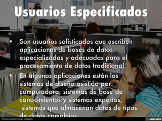 TIPOS DE USUARIOS | PDF