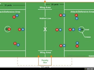 Lacrosse Passion Project | PDF