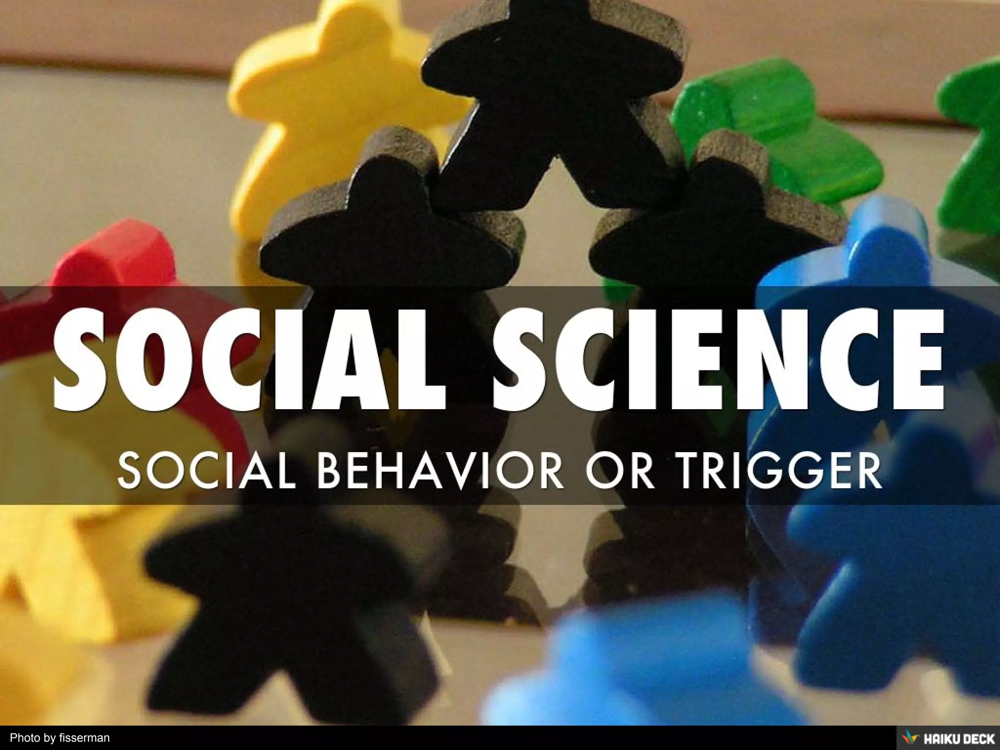 SOCIAL SCIENCE | PPT