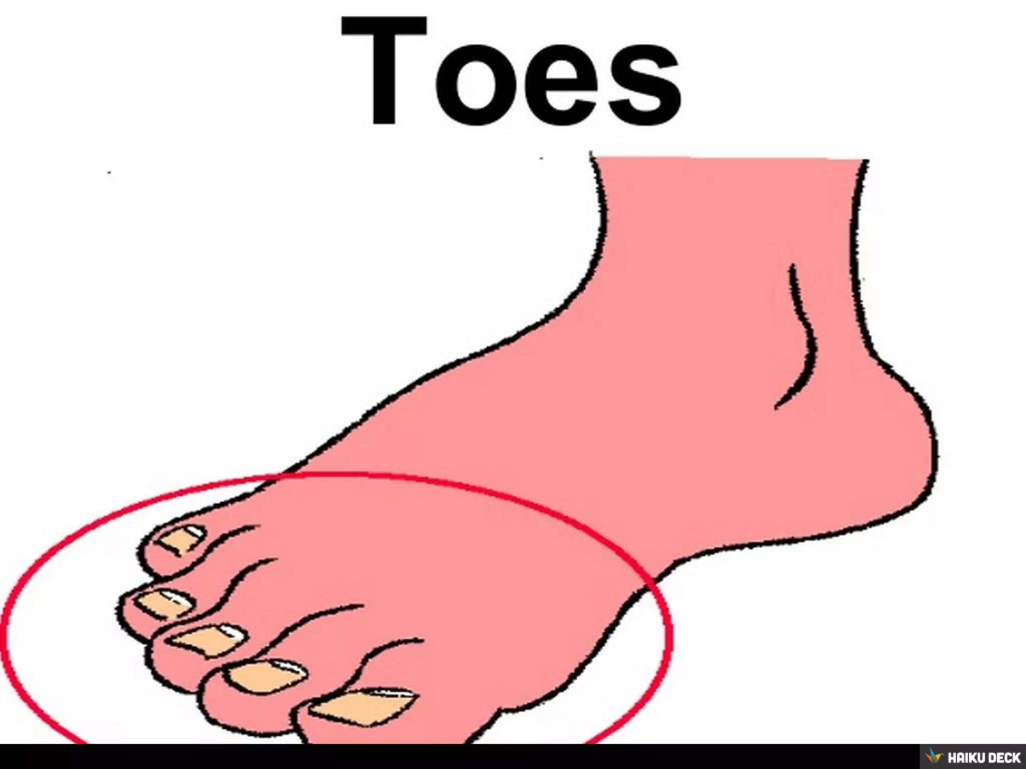 Head shoulder kness toes ears mouth | PDF