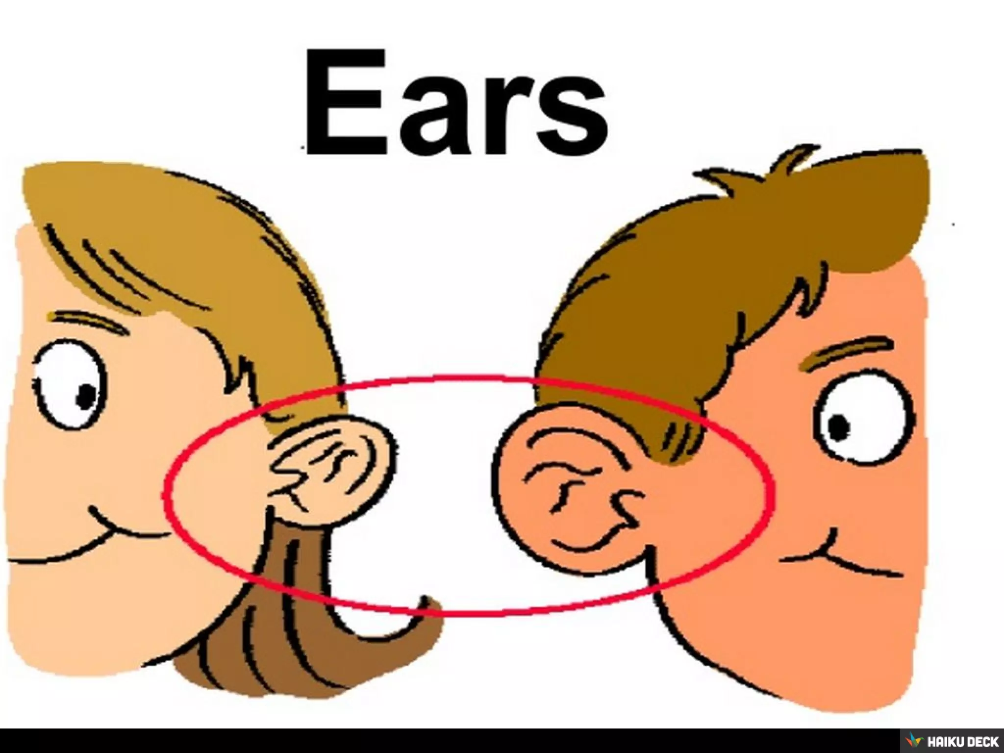 Head shoulder kness toes ears mouth | PDF