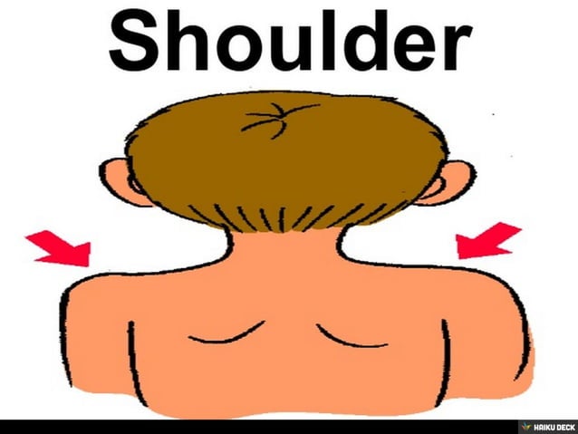 Head shoulder kness toes ears mouth | PDF