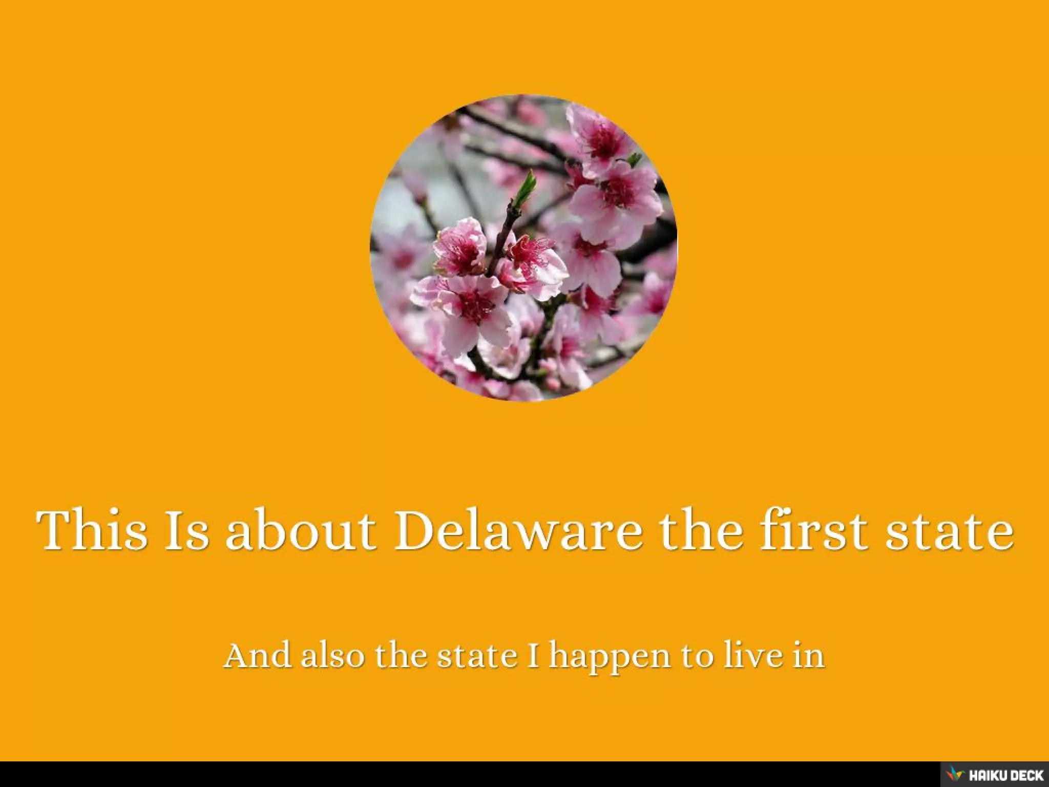What IS Delaware?? | PPT