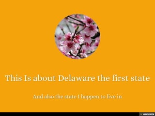 What IS Delaware?? | PPT