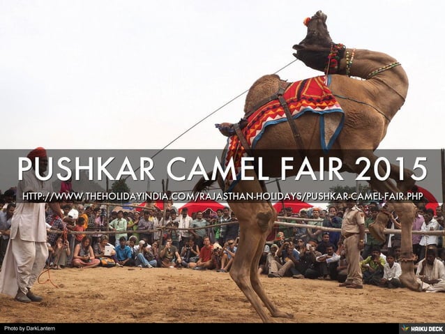 PUSHKAR CAMEL FAIR | PDF
