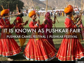 PUSHKAR CAMEL FAIR | PDF