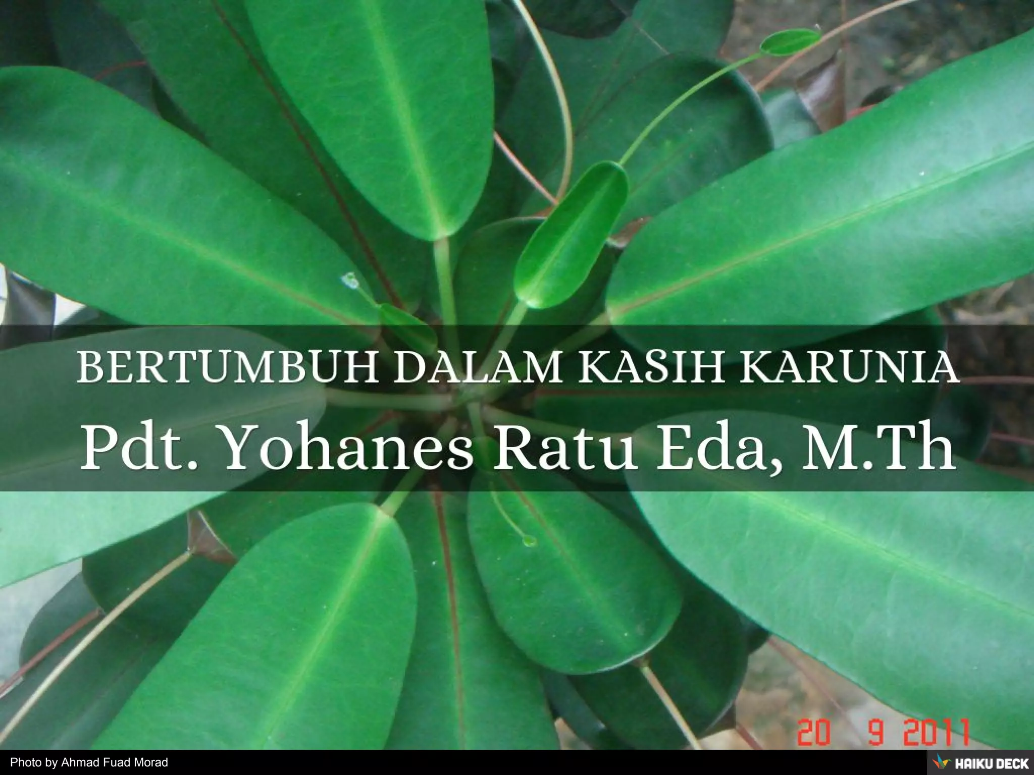 BERTUMBUH DALAM KASIH KARUNIA | PDF