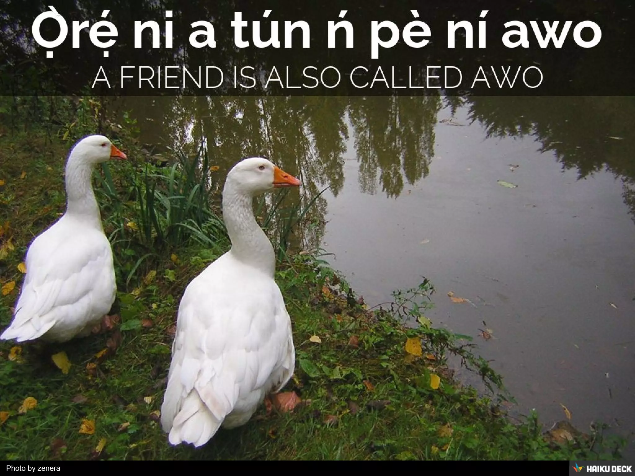AWO | PDF