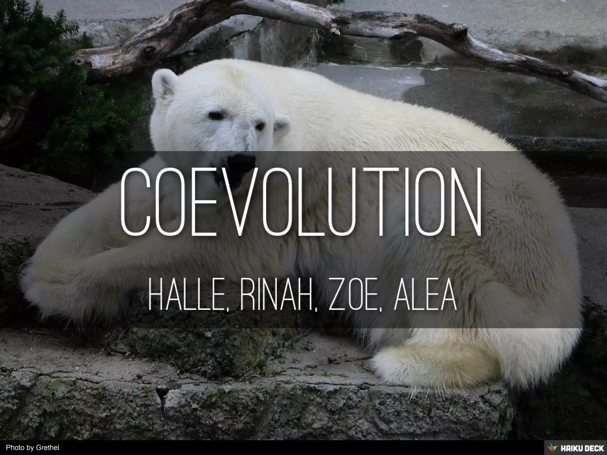 CoEVOLUTION | PPT