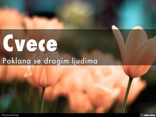 Cvece | PDF