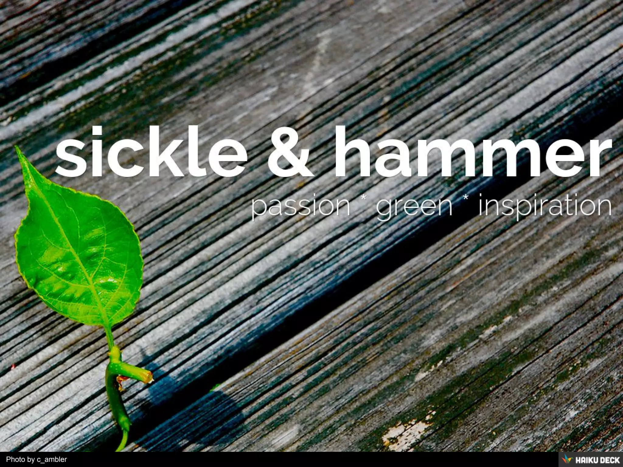 sickle & hammer | PDF
