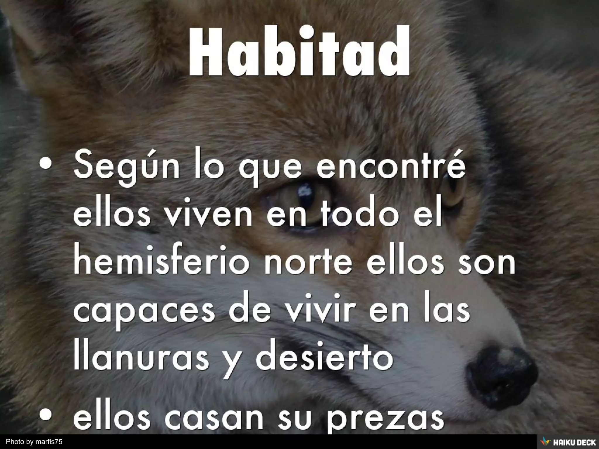 el zorro uno delos animales mas listos | PDF