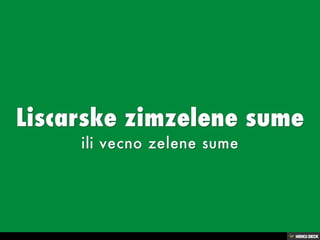 Sumski ekosistem | PDF | Poetry | Books and Literature