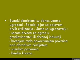 Sumski ekosistem | PDF | Poetry | Books and Literature
