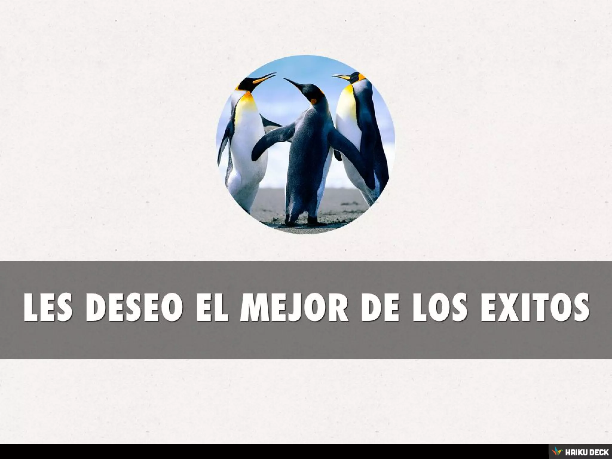 HOLA COMPAÑEROS DOCENTES | PDF