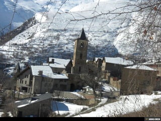 Untitled Presentation | PDF