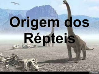 Untitled Presentation | PDF