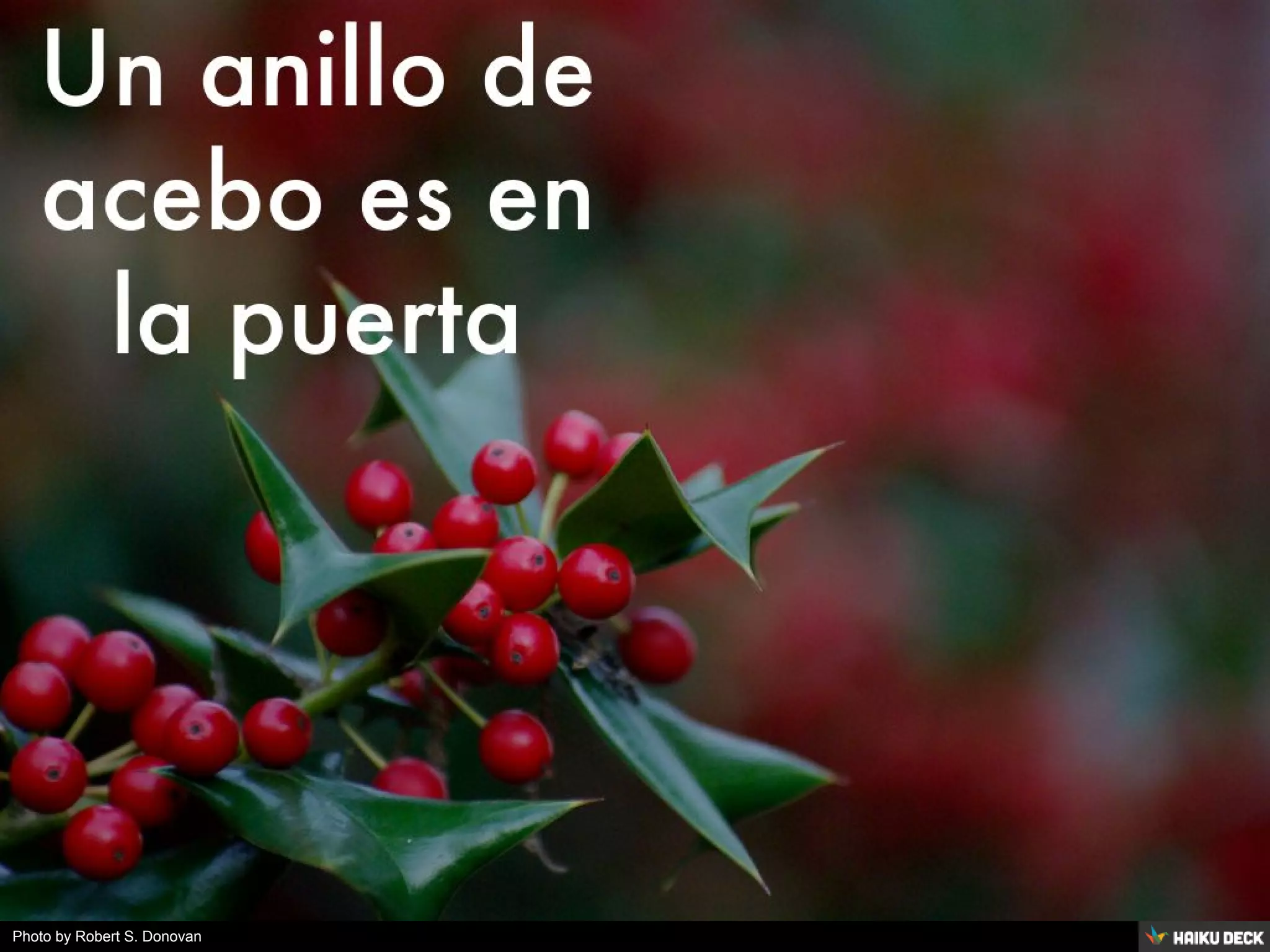 Tradiciones de Navidad en Irlanda | PDF