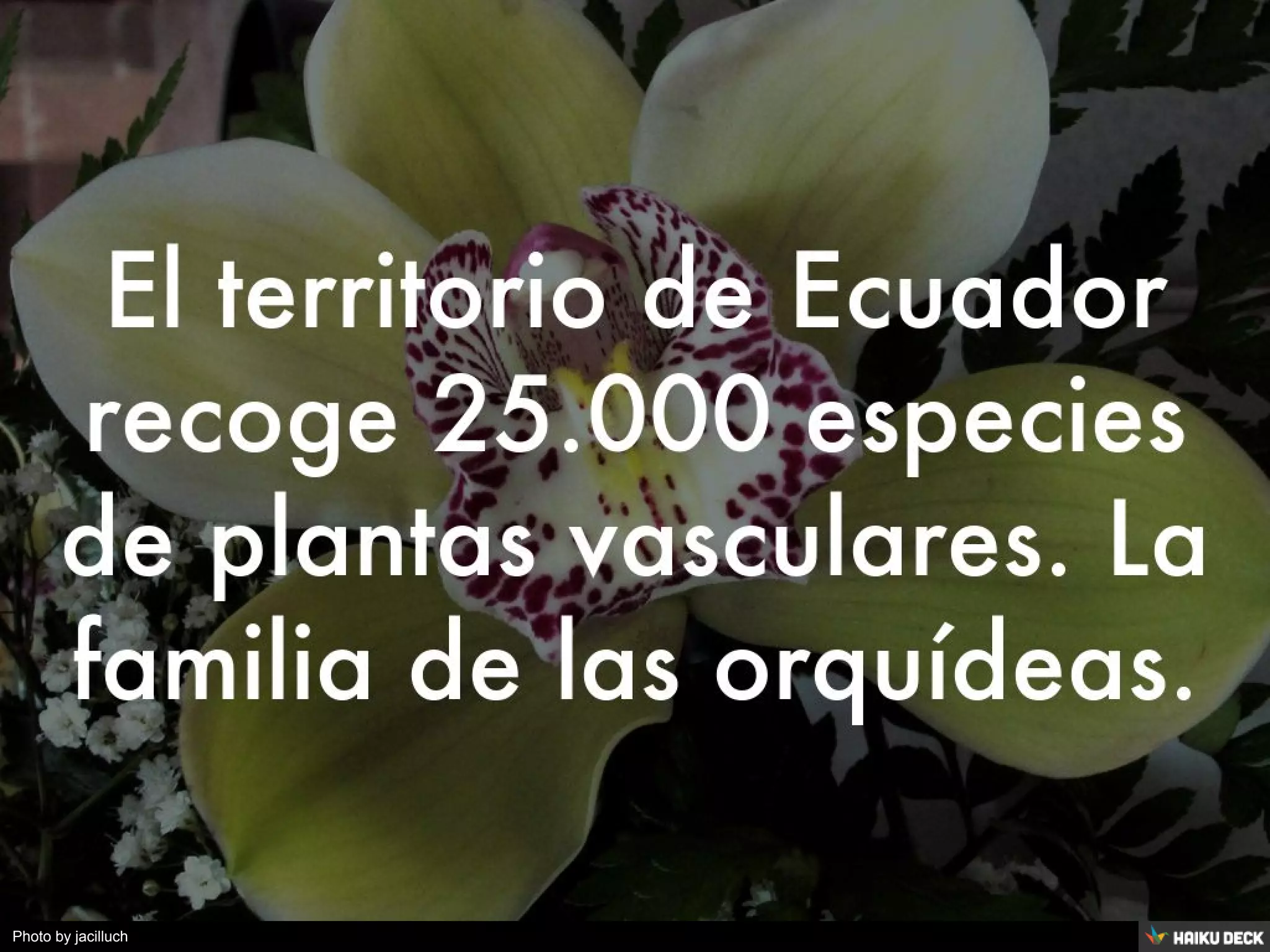 FLORA DEL ECUADOR | PDF