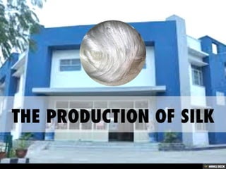 THE PRODUCTION OF SILK | PPT