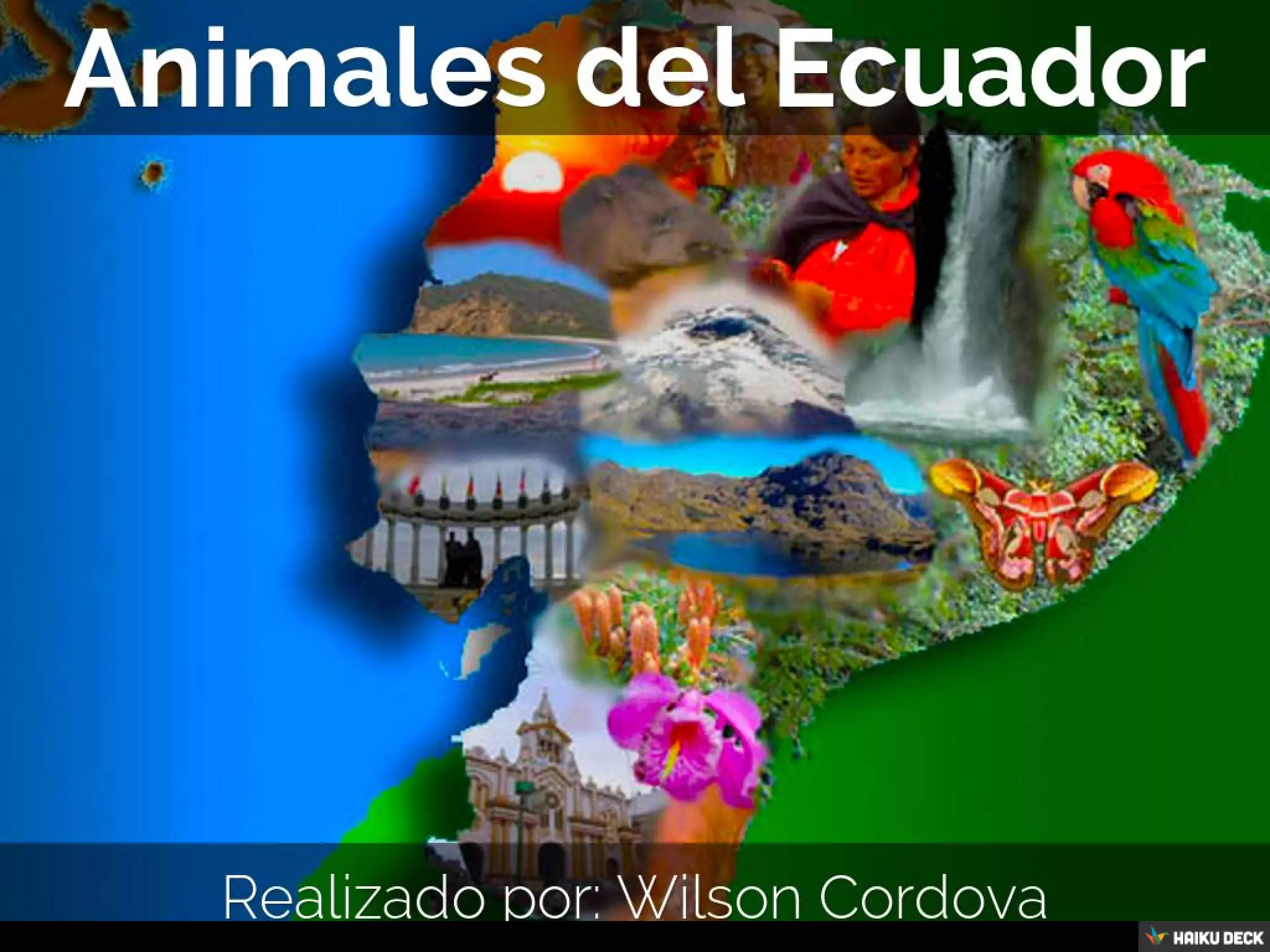 Animales del Ecuador | PDF