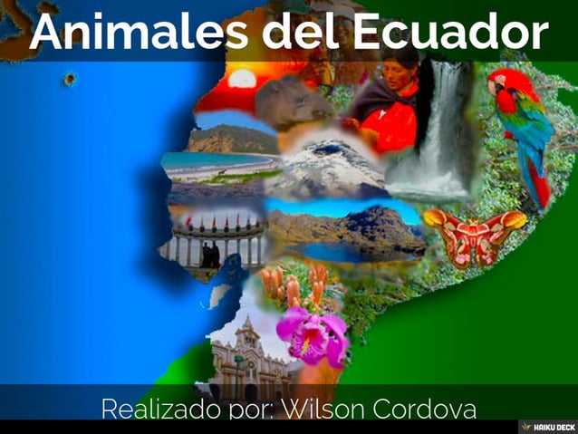 Animales del Ecuador | PPT