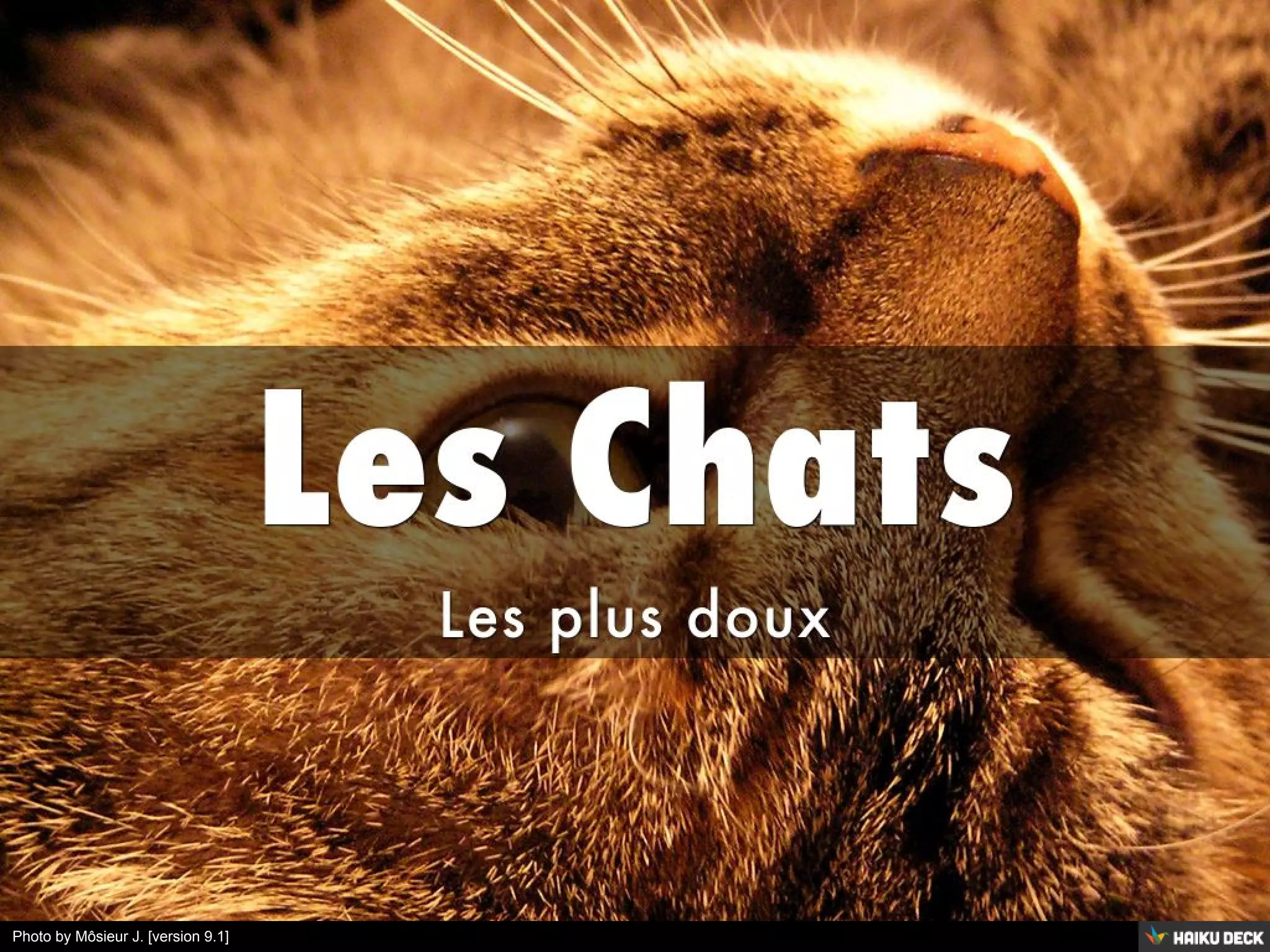 Les Chats | PDF