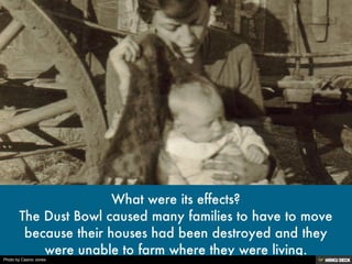 Dust Bowl | PDF